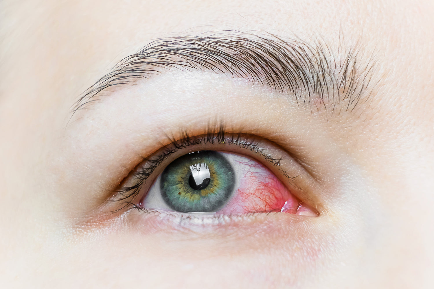 Vision Source Rio® Optometrist (Eye Doctor) Rio Rancho